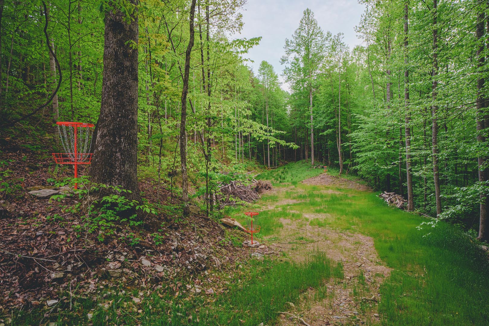 Twisted Norma's - Hillbilly Deluxe Rentals